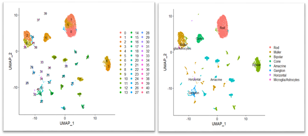 GitHub - PrincyJohnson/Single-cell-RNA-sequencing: Objectives are to ...