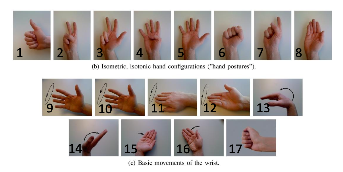 Github Devsangho Hand Posture Classification Based On Surface
