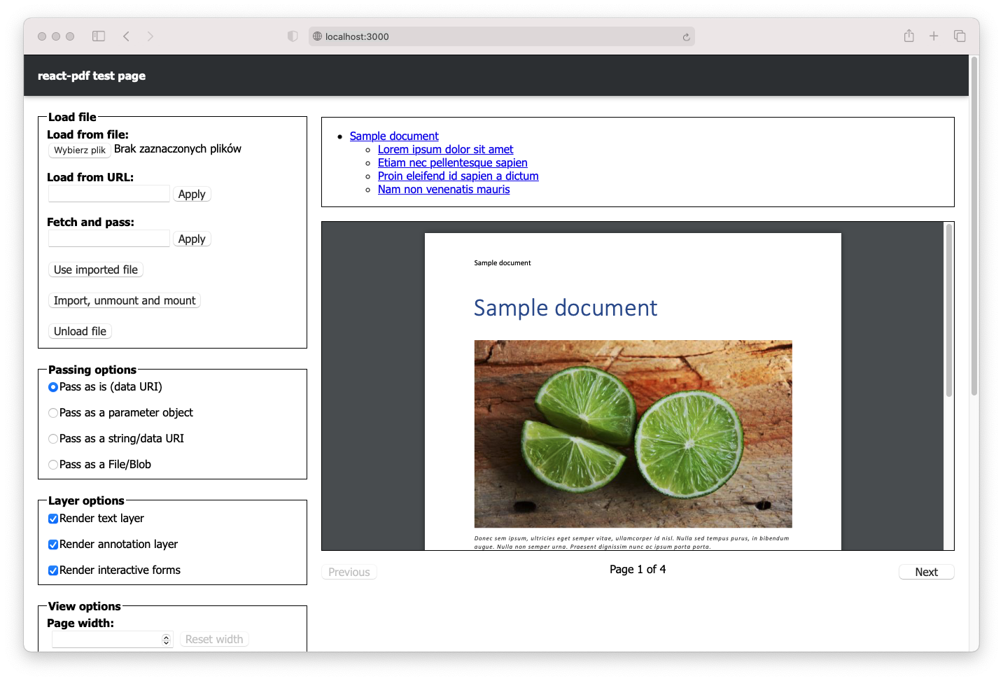Document doesn't render in Safari. · Issue #750 · wojtekmaj/react-pdf · GitHub
