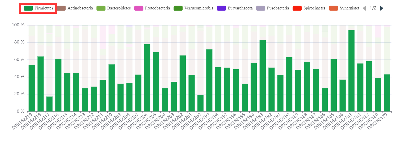[Bug] Stacked Horizontal Bar · Issue #17082 · apache/echarts · GitHub