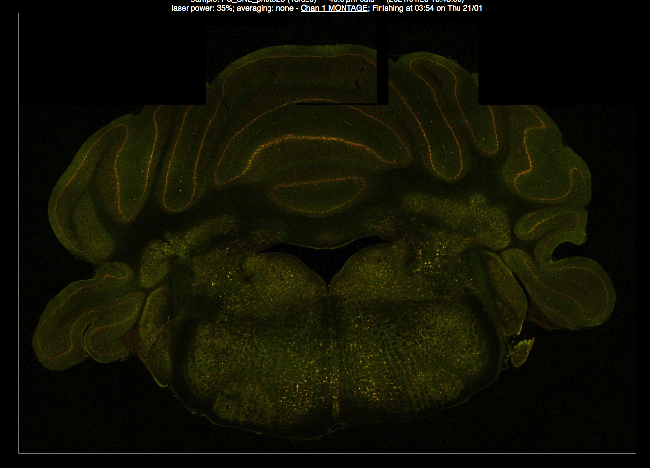 GMM fails in cases where background is zero · Issue #346 · SWC-Advanced ...