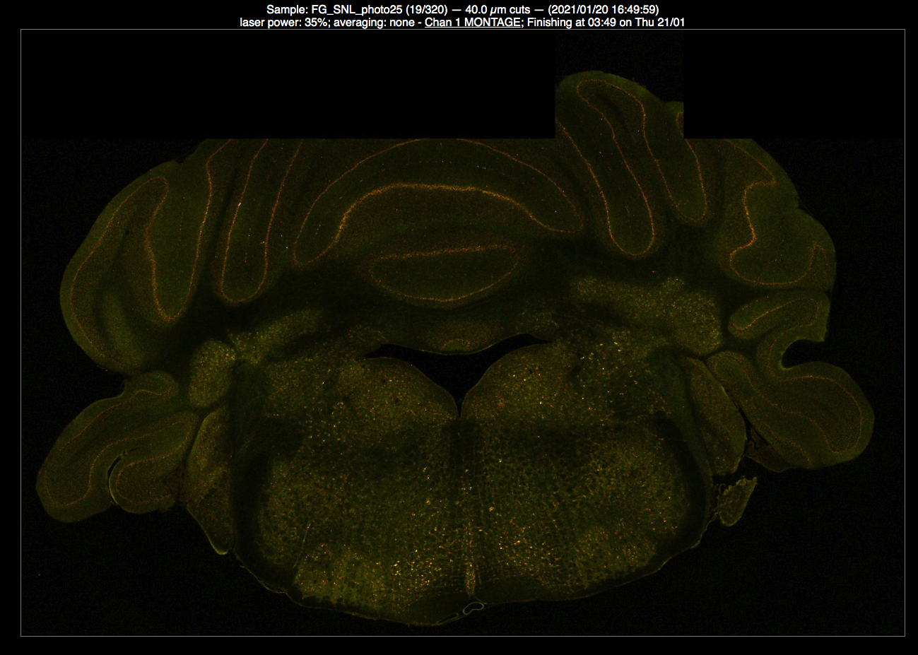 GMM fails in cases where background is zero · Issue #346 · SWC-Advanced ...