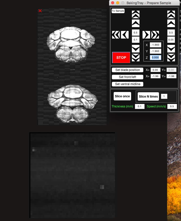 autoThresh fails deeper into the sample from preview stack data · Issue ...