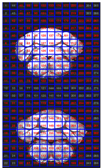 Tile picker tool for fixed ROIs · Issue #276 · SWC-Advanced-Microscopy ...