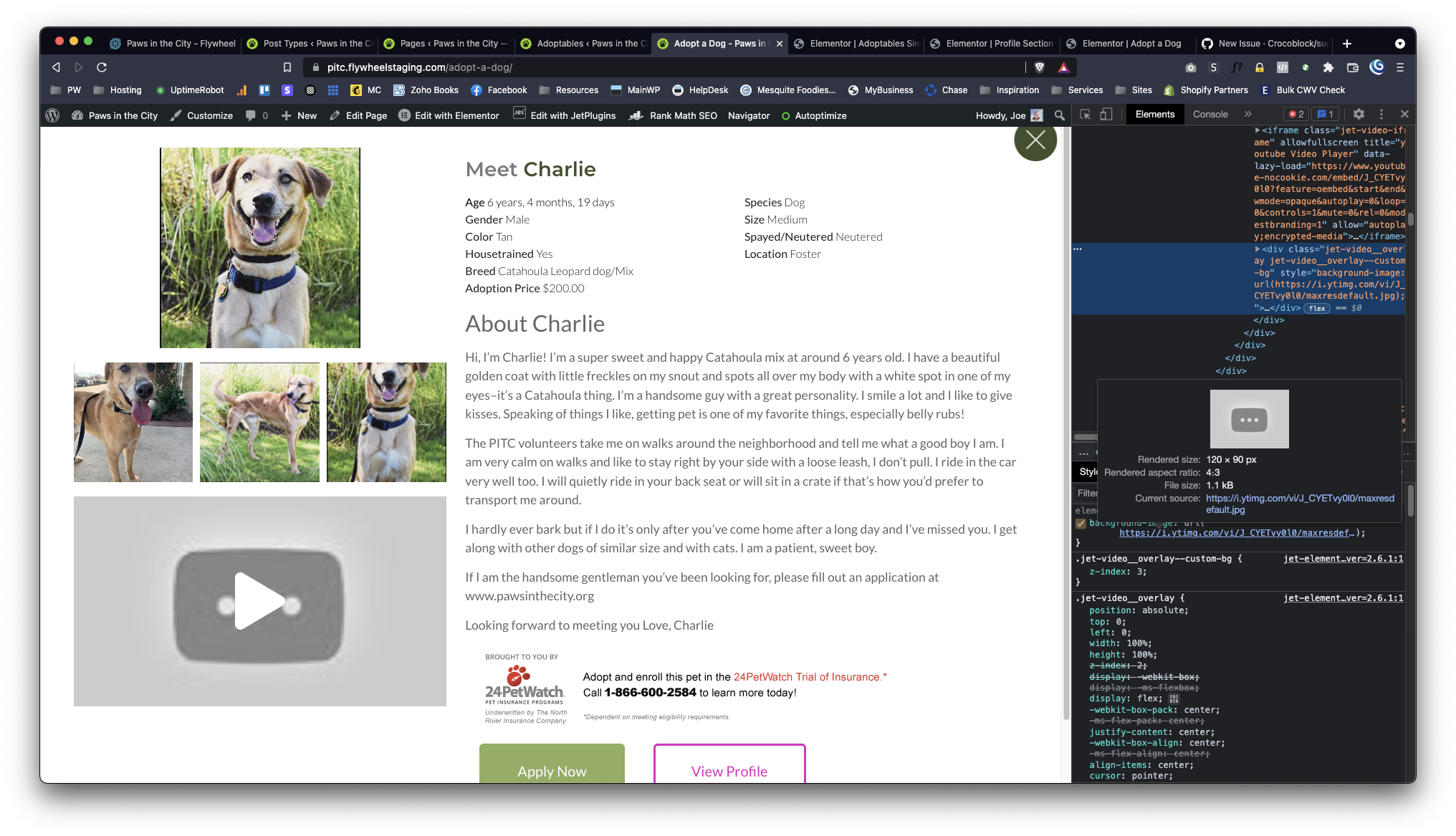 JetElements Video Player (jet-elements-video) does not fallback to ...