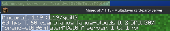 can't properly format server brands using § · Issue #2 · EcoBuilder13/Semblance · GitHub