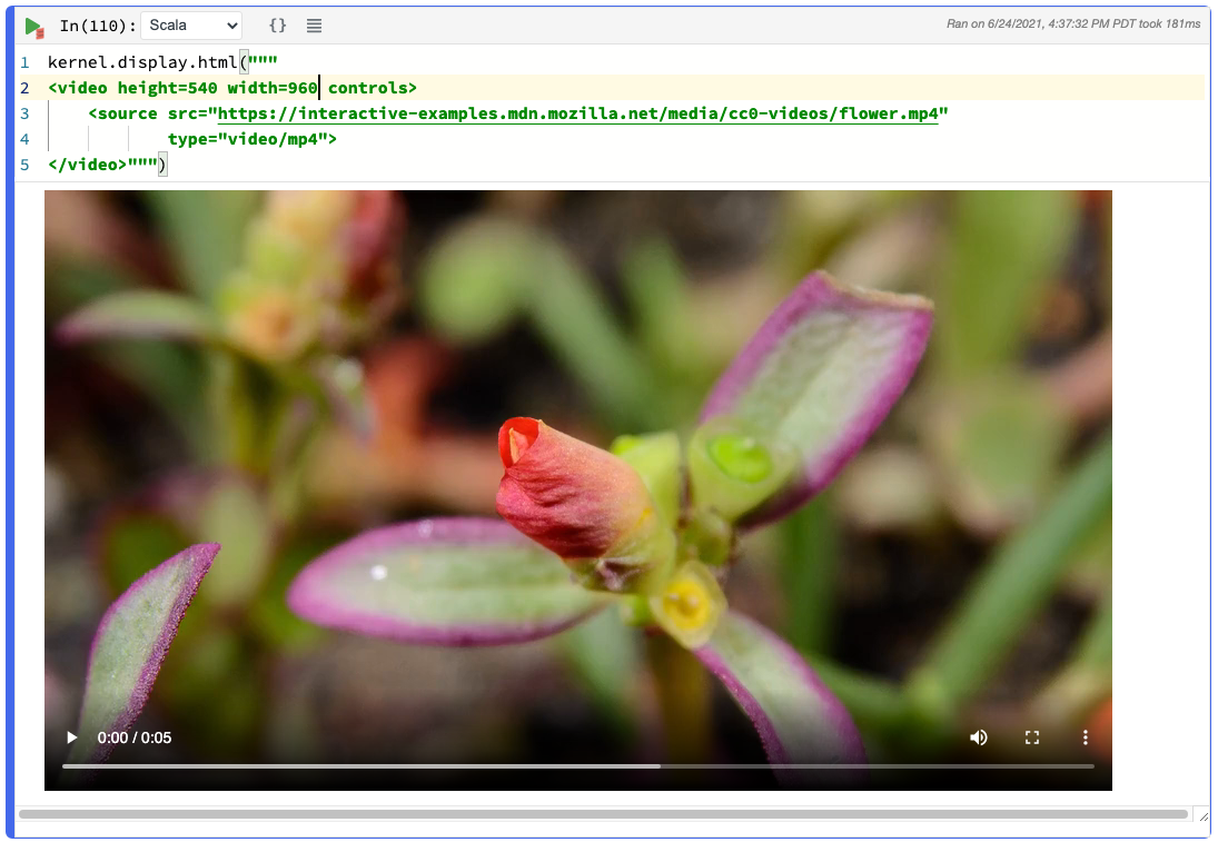 Output with embedded HTML video not properly sized · Issue #1176 · polynote/polynote · GitHub