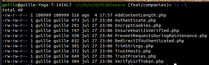 Files Generated From Sail Have Wrong Permissions On Host · Issue 457