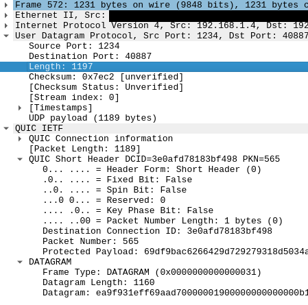 Limit UDP packet size to the MTU (fragmentation) · Issue #1572 · quinn-rs/quinn · GitHub
