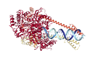 GitHub - oukleon/Biopython