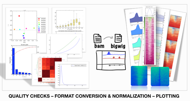 Visualizing Matched Rna Coverage In Plotbrowsertrack · Issue 313 · Greenleaflabarchr · Github