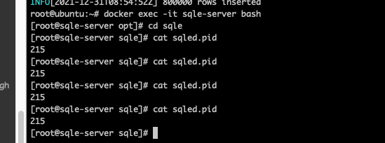 SQLE panic when trigger pt-osc suggestion · Issue #130 · actiontech/sqle · GitHub