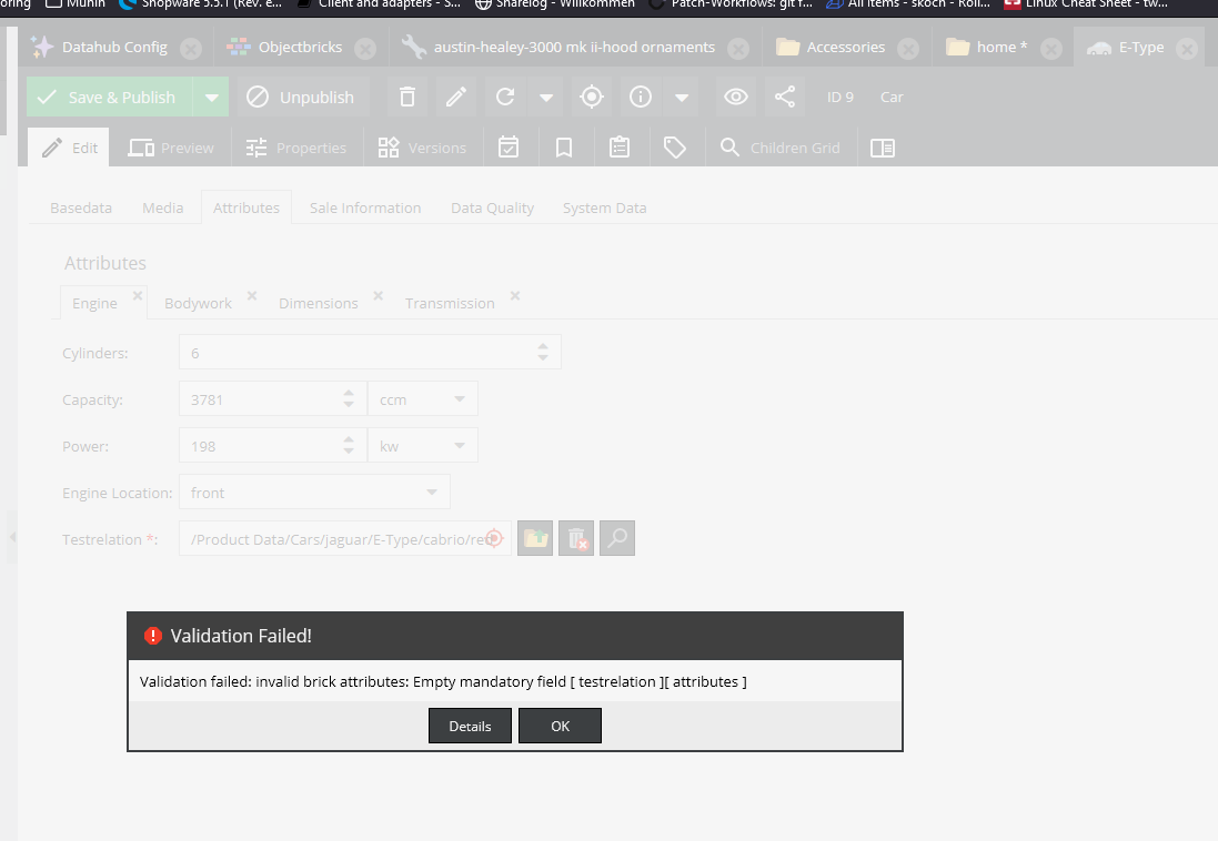 [Bug]: Broken pimcore cache for relations inside objectbricks · Issue #12290 · pimcore/pimcore ...