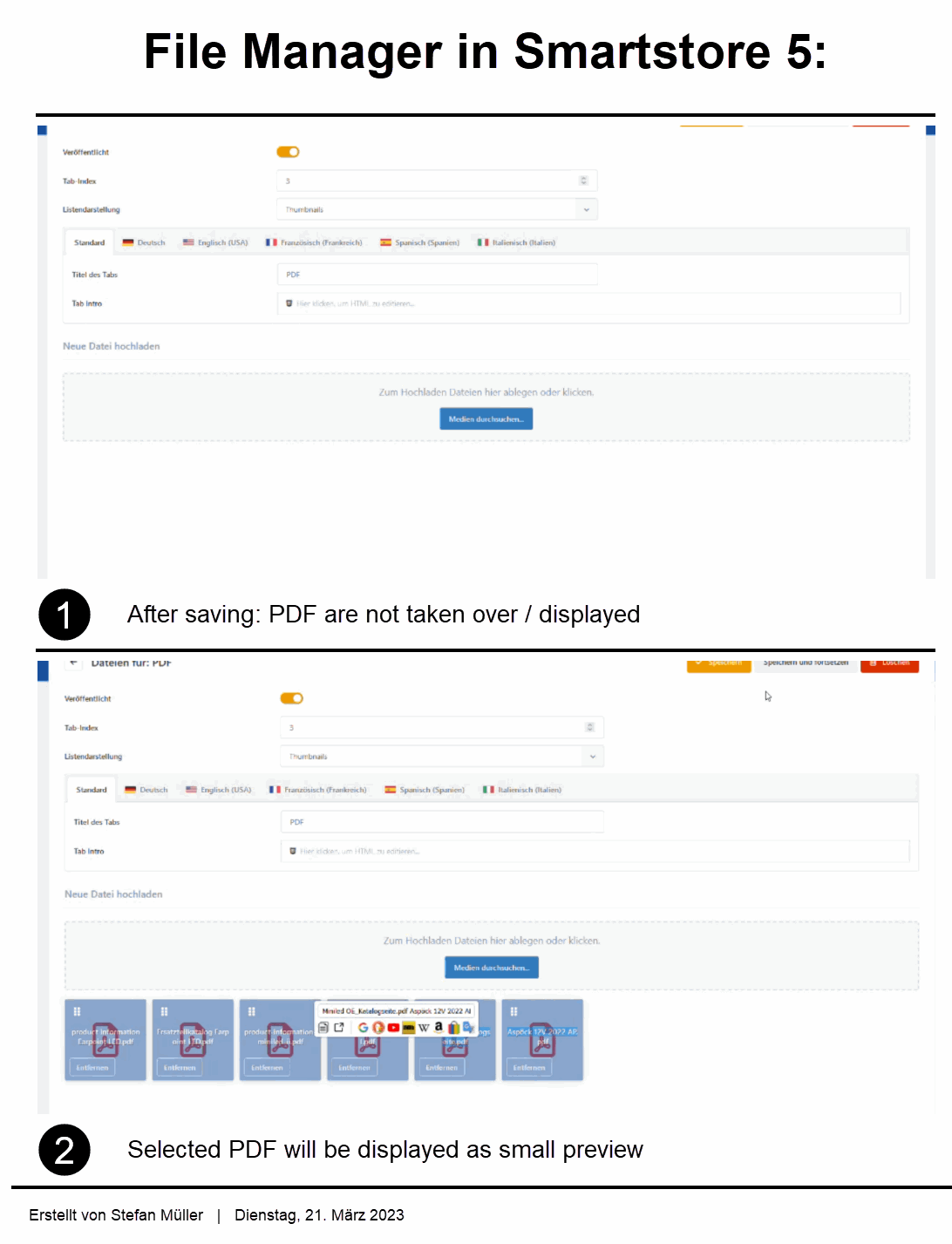 File Manager plugin does not add a PDF document (see screenshot) · Issue #637 · smartstore ...