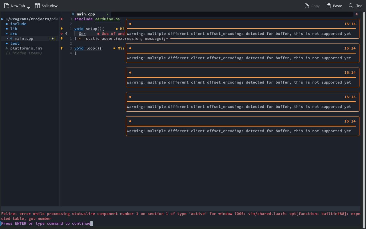 warning: multiple different client offset_encodings detected for buffer, this is not supported ...