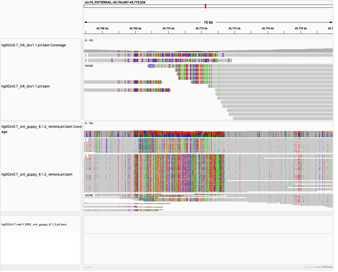 Issue: chr16_PATERNAL:45769608-45770549 · Issue #235 · marbl/HG002-issues · GitHub