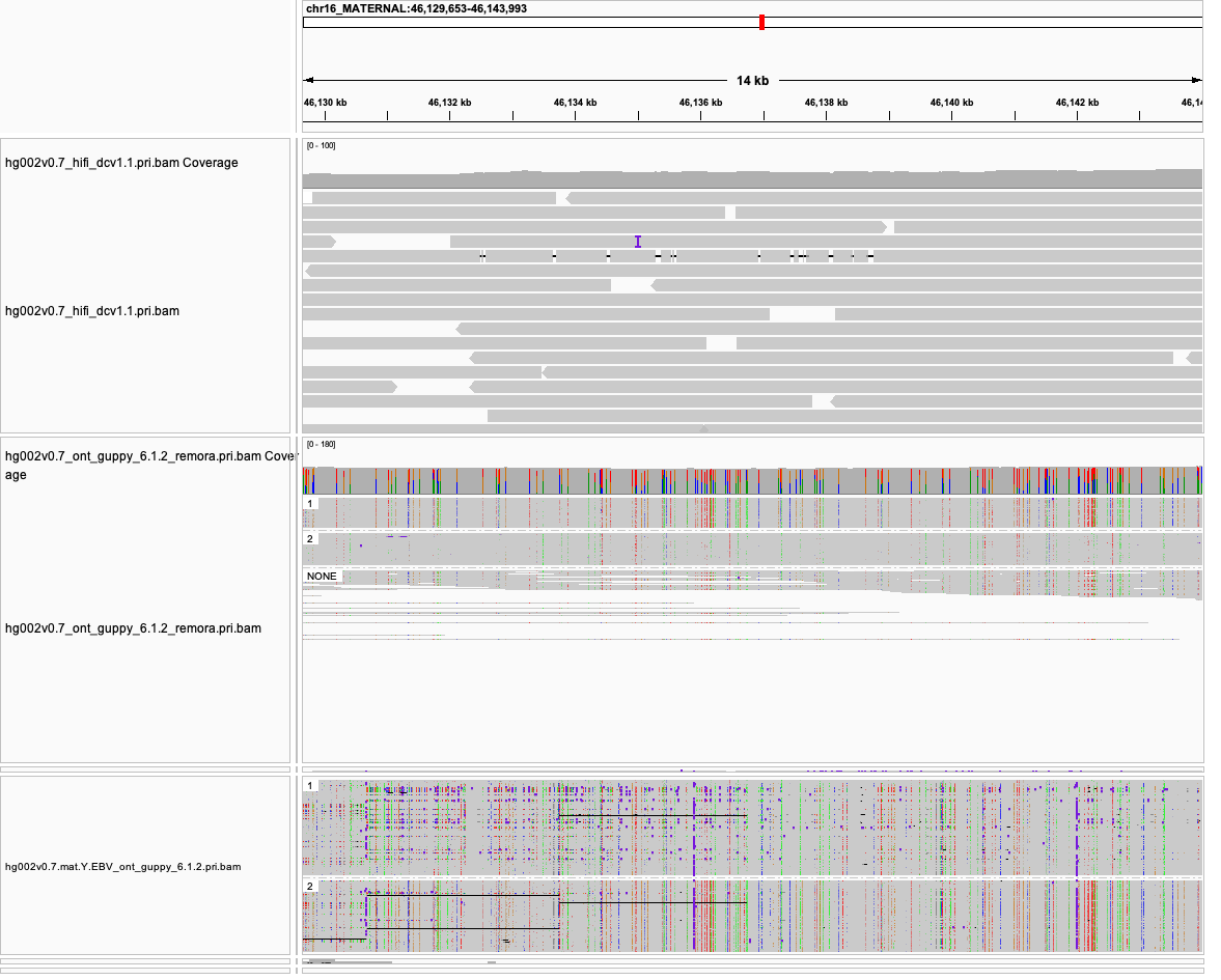 Issue: chr16_PATERNAL:45769608-45770549 · Issue #235 · marbl/HG002-issues · GitHub