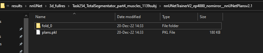Error during the anatomical segmentation using 3D Slicer and TotalSegmentor · Issue #41 ...