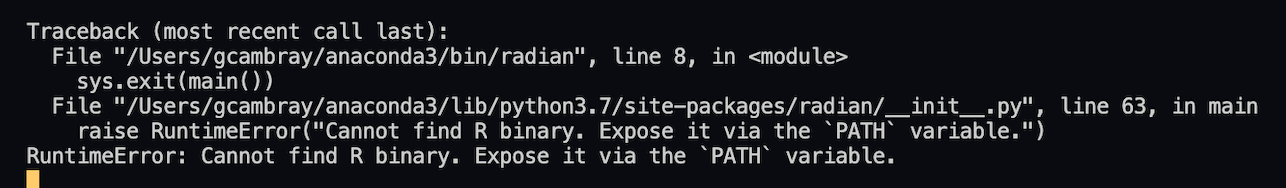 radian does no get proper env variable and cannot launch · Issue #273 · REditorSupport/vscode-R ...