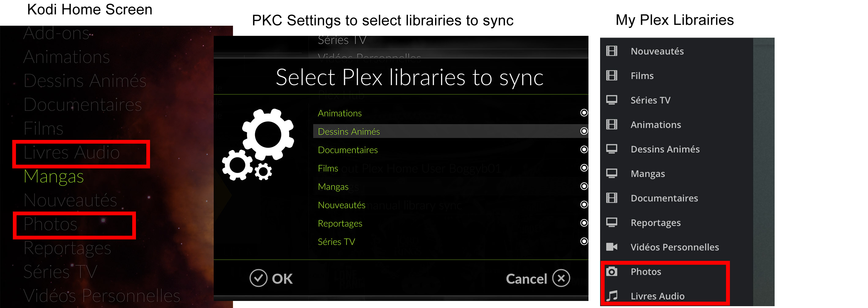 PKC : impossible to hide Photos or Music Library from Plex · Issue #1219 · croneter ...