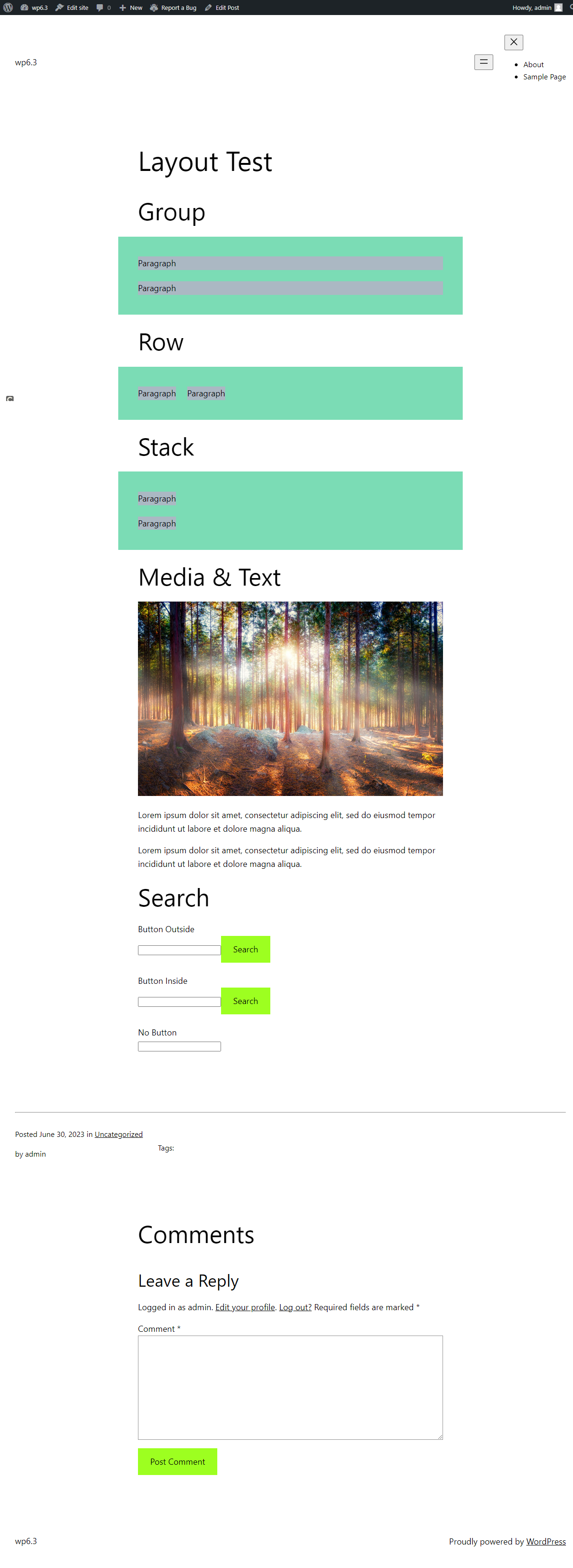 [WP6.3] Styles not applied to some blocks · Issue #52199 · WordPress ...