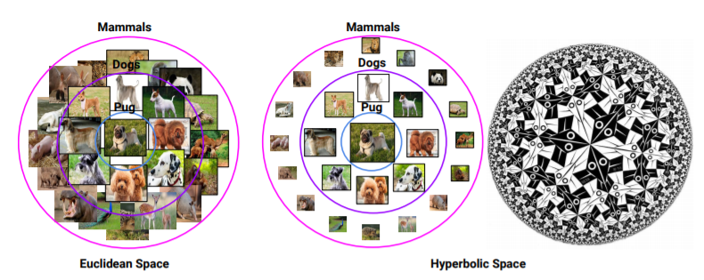 Hyperbolic Attention Networks · Issue #765 · arXivTimes/arXivTimes · GitHub