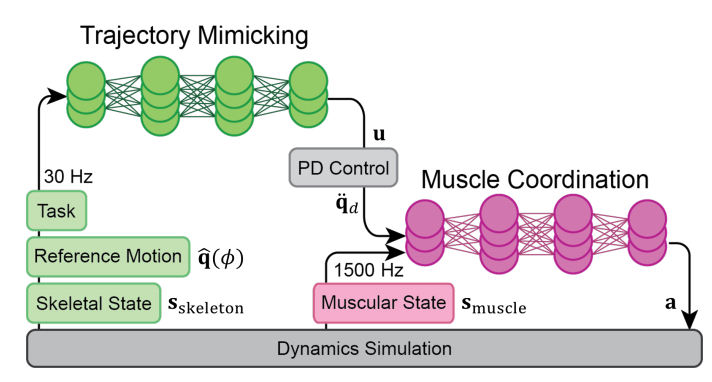 Scalable Muscle-actuated Human Simulation and Control · Issue #1167 ...