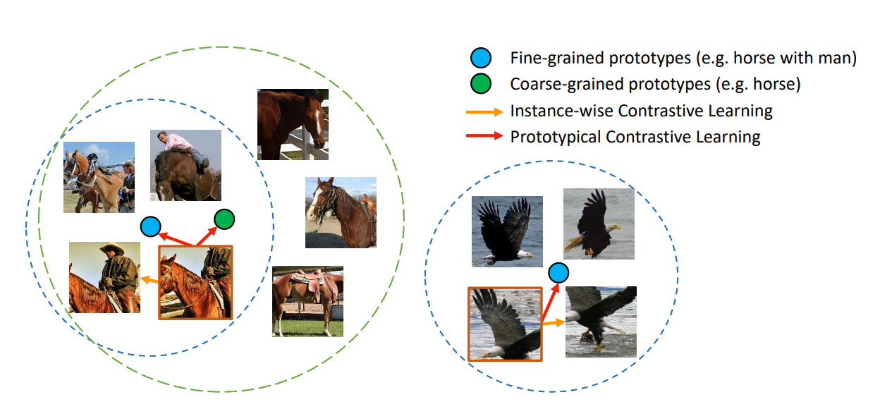 Prototypical Contrastive Learning Of Unsupervised Representations · Issue 1704 · Arxivtimes