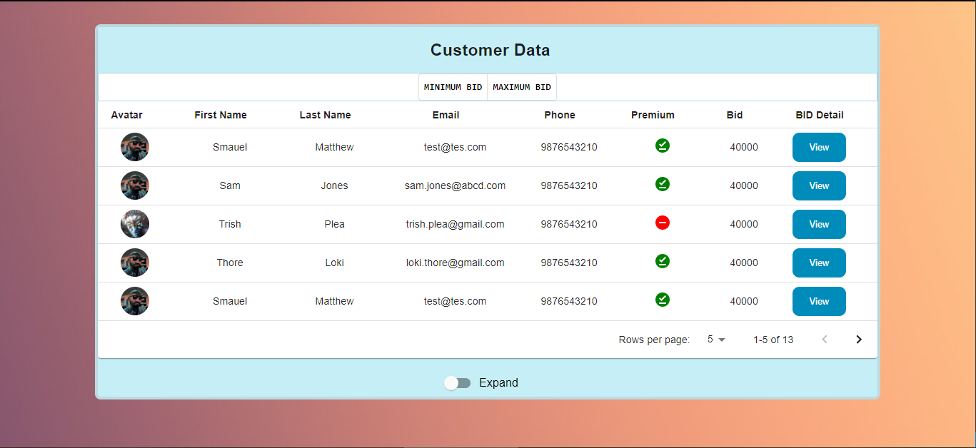 customer-data - Codesandbox