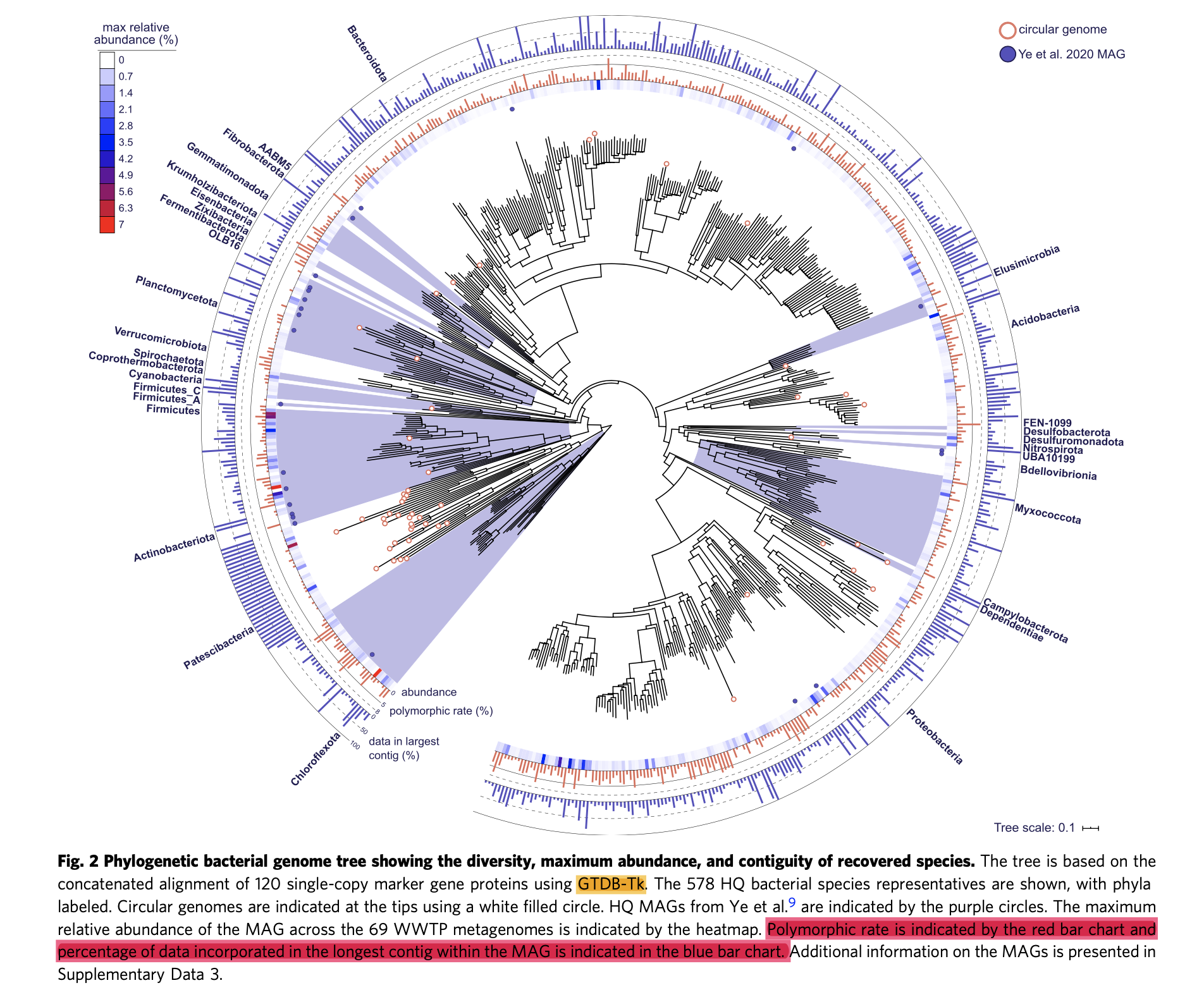 Unsure with choosing which outgroup when making de_novo_tree using "GTDB-Tk gtdbtk de_novo_wf ...