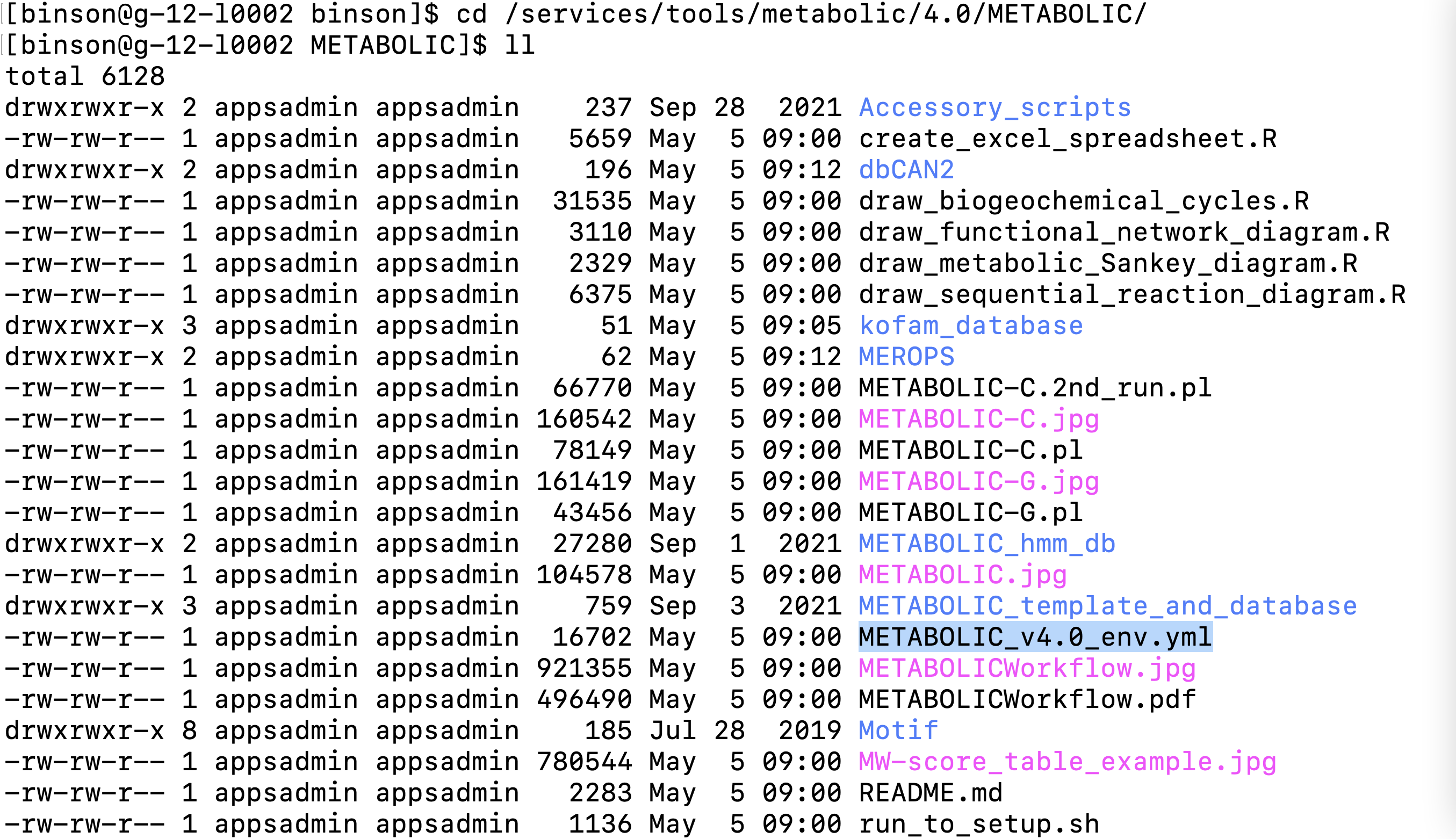 mv: cannot stat 'METABOLIC_result.xlsx': No such file or directory · Issue #75 · AnantharamanLab ...