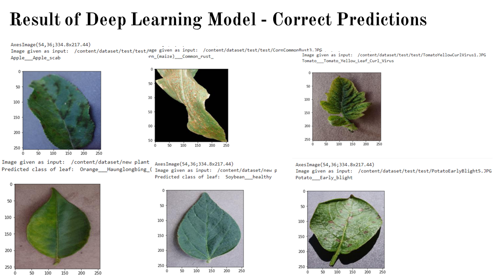 GitHub - Roshni-Bala/Crop-Disease-Detection-NIC_AP: Identifying crop ...