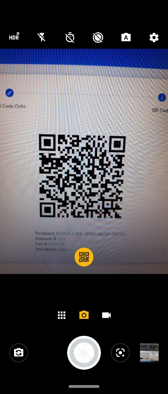 Mobile, scanned QR code from camera don't opening Phoenix · Issue #1315 · signum-network/phoenix ...