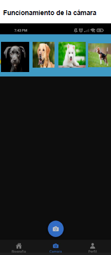 GitHub - aplicacionesmoviles-31/angular-basico-1843282