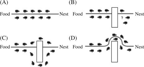 GitHub - Heba-Atef99/travelling_salesman_problem