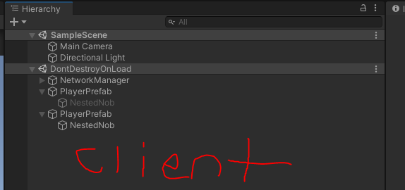 Global Nested Network Objects Disabled for Non Owned Objects On The Client. · Issue #477 ...