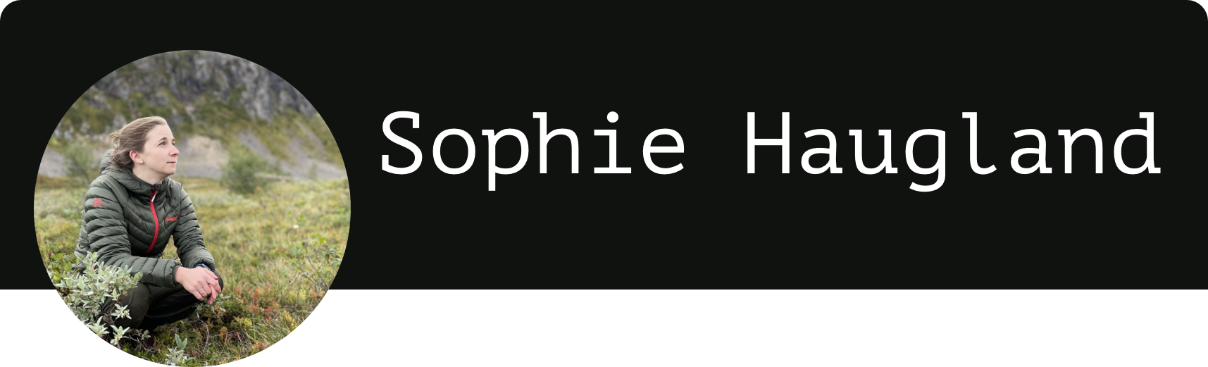 Soph-H-P (Sophie Haugland ) · GitHub