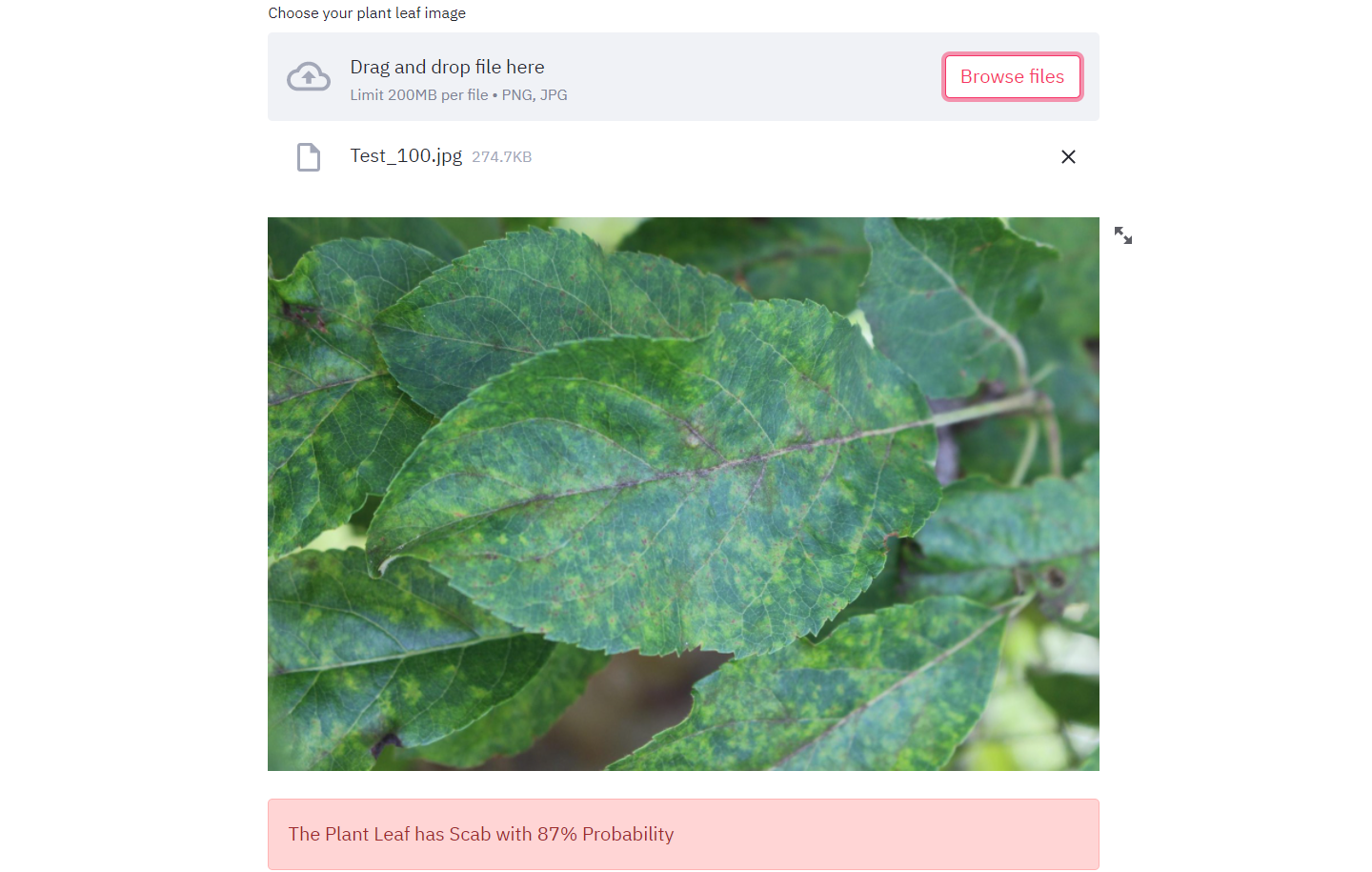 GitHub - praveen2111/plant-leaf-classification: In this project, We ...
