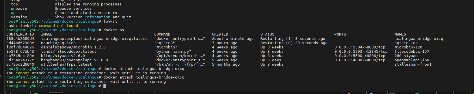 如何“正确”的部署ica-oicq-docker · Icalingua-plus-plus Icalingua-plus-plus · Discussion #543 · GitHub