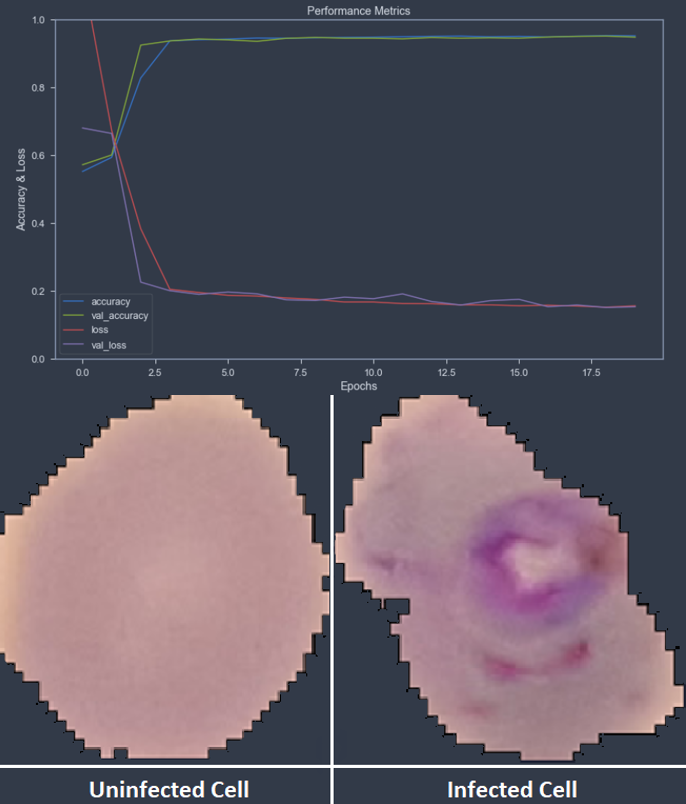 GitHub - kev-mens/Malaria-Detection: Deep learning solution to detect parasitic cells with 95% ...
