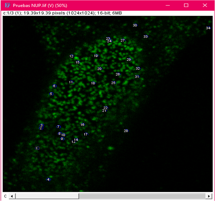 GitHub - anaacayuela/SingleEventDetector_: This ImageJ/Fiji plugin was ...