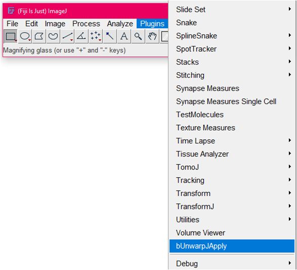 GitHub - anaacayuela/bUnwarpJ_Apply: This ImageJ/Fiji plugin was developed to provide a fast ...