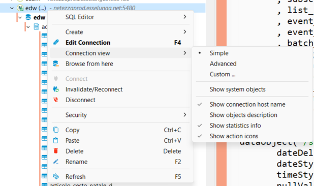 DBeaver Lite: Auto-complete does not working connecting to Netezza with ...