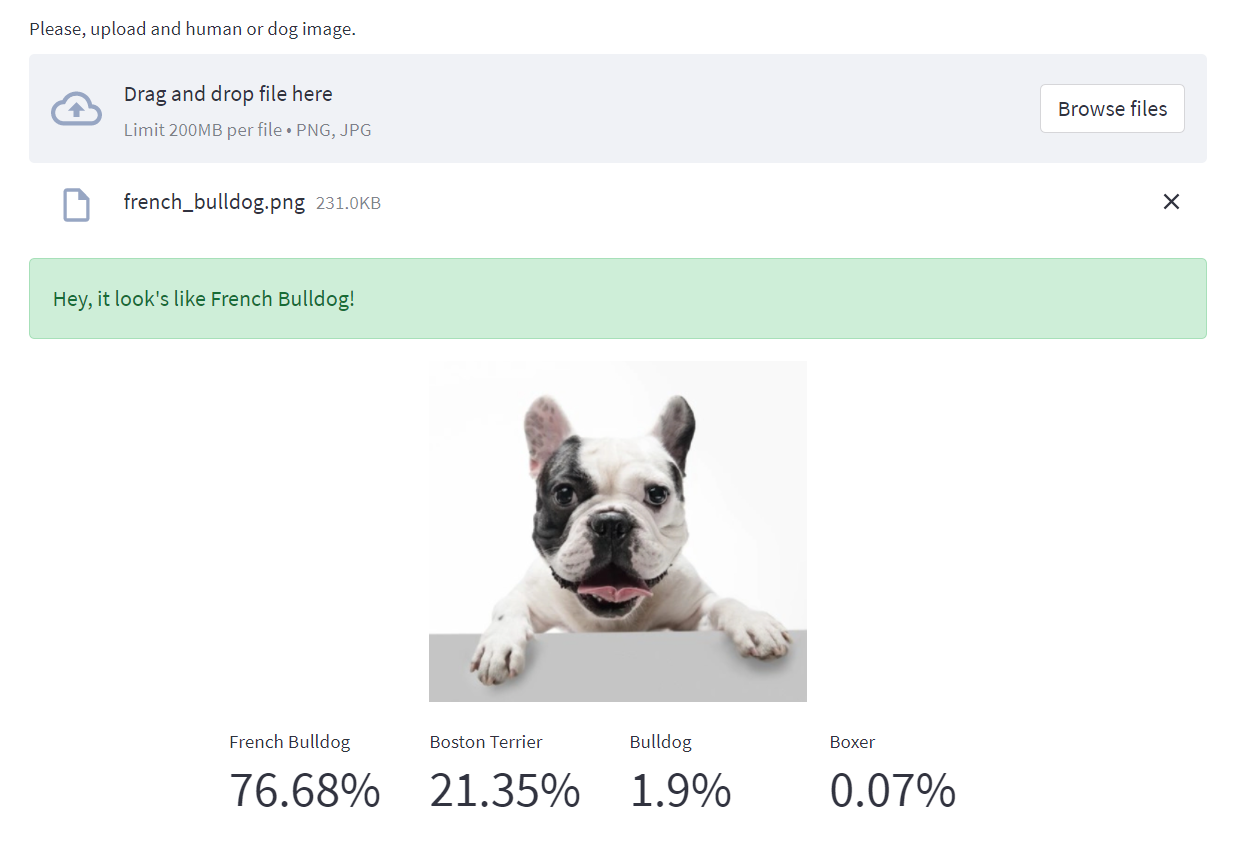 GitHub - gustaph/dog-breed-classification
