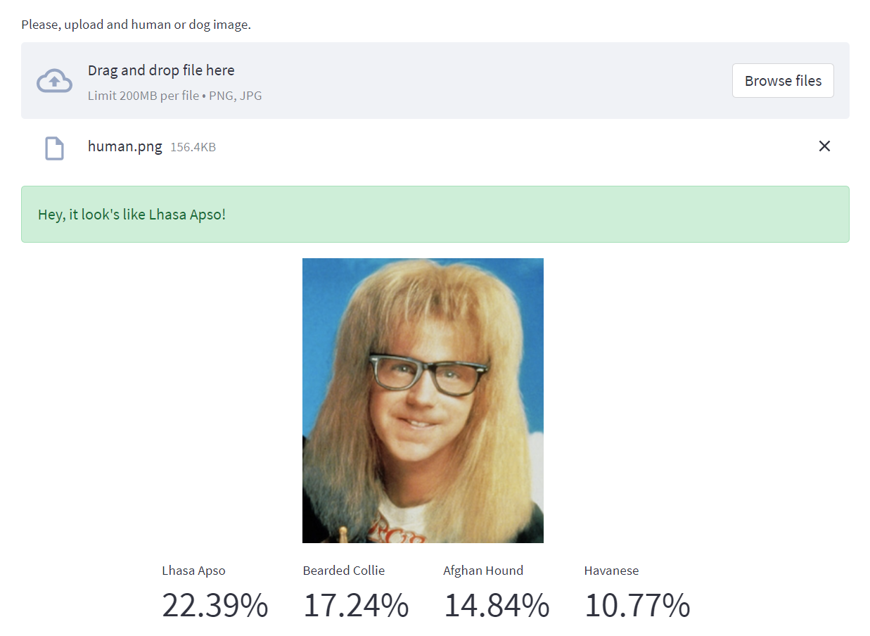 GitHub - gustaph/dog-breed-classification