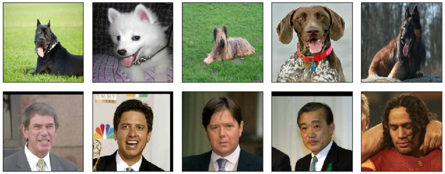 GitHub - gustaph/dog-breed-classification