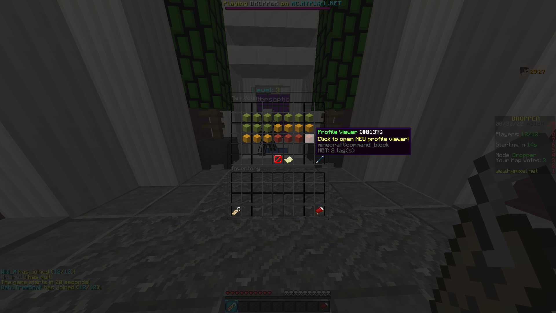 [Bug] NEU profile viewer in dropper? · Issue #250 · NotEnoughUpdates ...