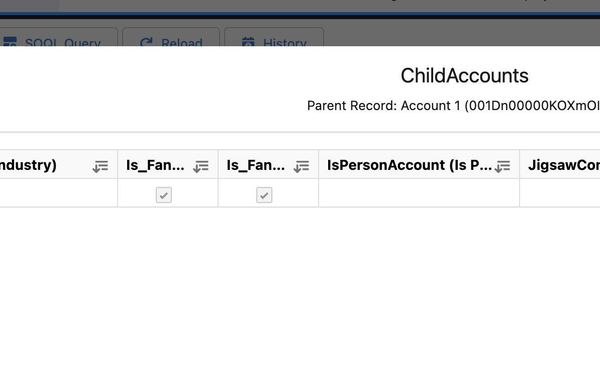 Checkbox column not rendered on subquery table · Issue #161 · jetstreamapp/jetstream · GitHub
