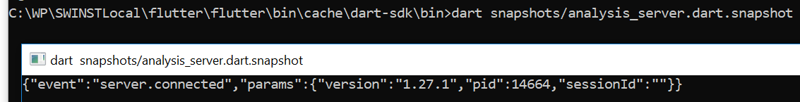 Dart Analyzer in VS Code "This socket is closed" · Issue #1913 · Dart-Code/Dart-Code · GitHub