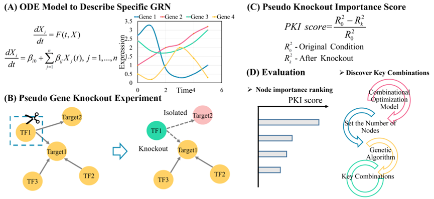 GitHub - zpliulab/PKI: a bioinformatics method of quantifying the importance of nodes in gene ...